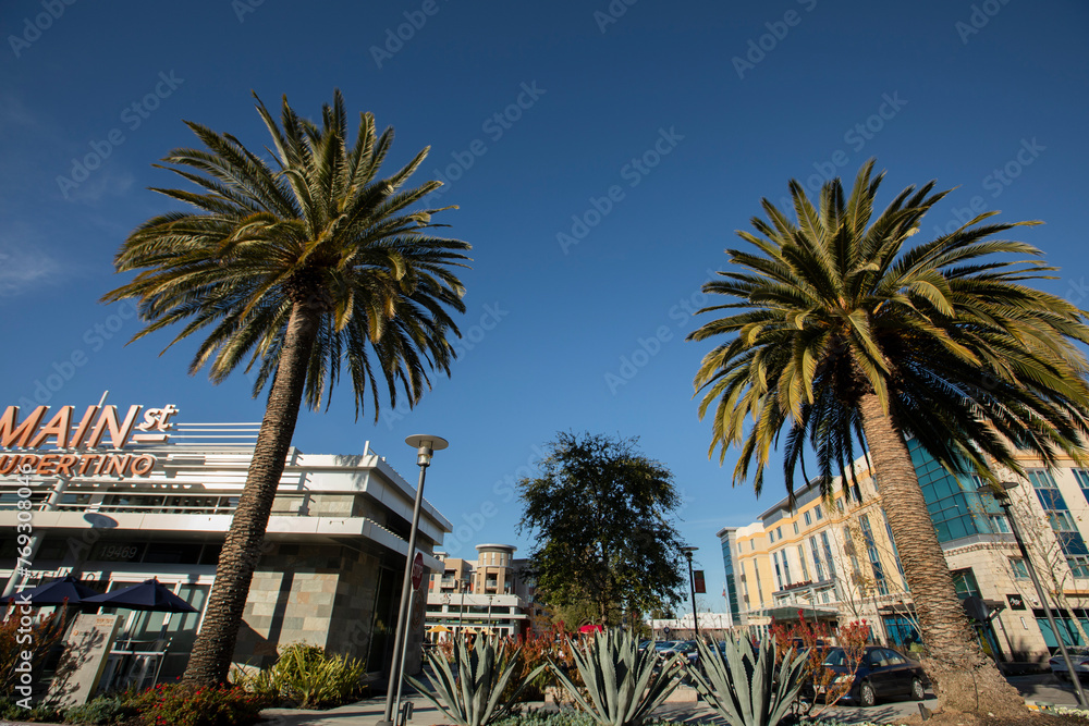 Cupertino, California, USA - January 1, 2023: Afternoon sun shines on ...