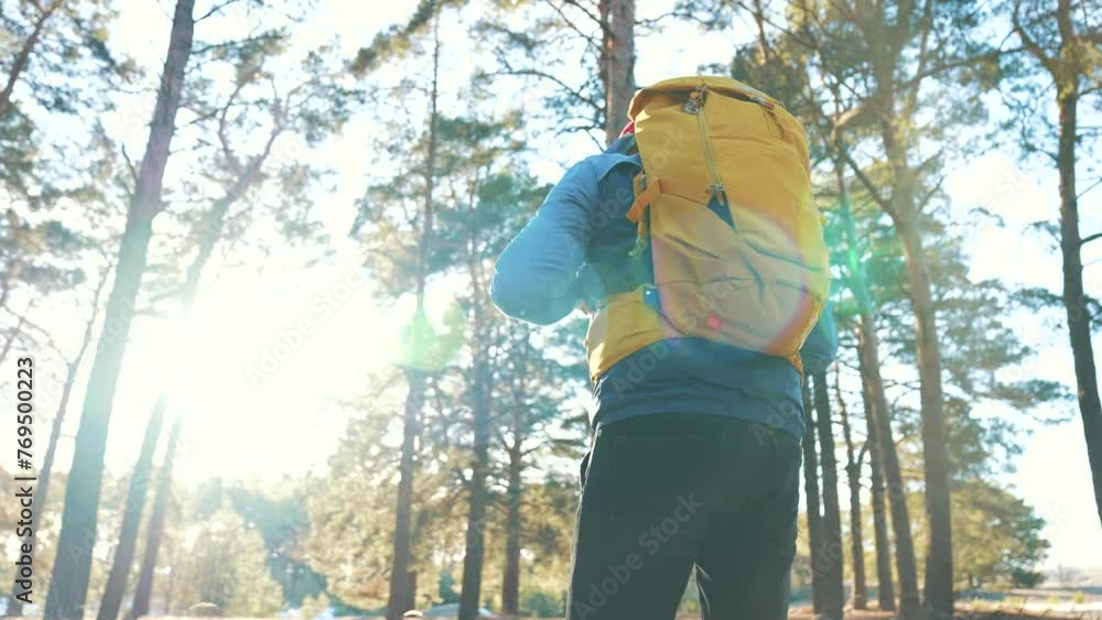 Vidéo Stock Tourism concept. tourist with backpack on walk in forest ...