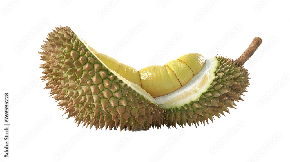 Durian on Transparent Background - PNG Stock Photo | Adobe Stock
