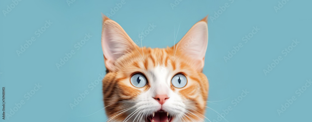 Ginger cat with mouth open looking shocked, surprised. Blue color ...