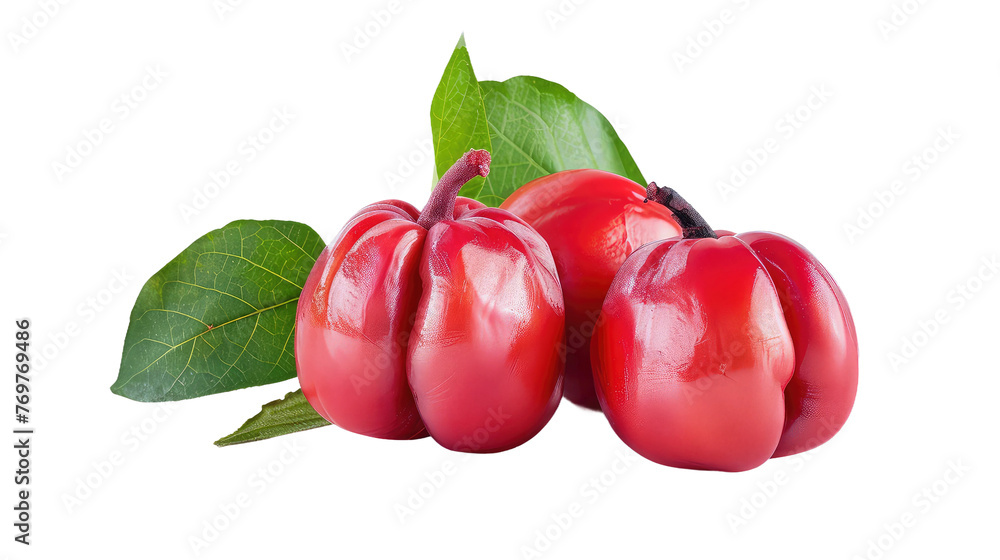 Wax Jambu on Transparent Background PNG Stock Photo | Adobe Stock