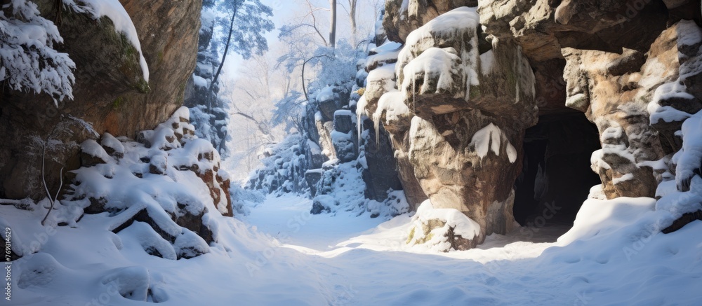 In the freezing winter landscape, a cave stands in the snowy forest ...