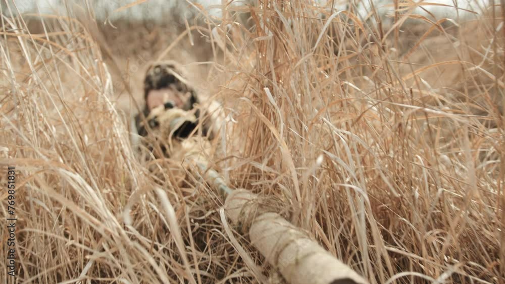 Vidéo Stock Sniper concealed in tall grass, with the focus on the rifle ...