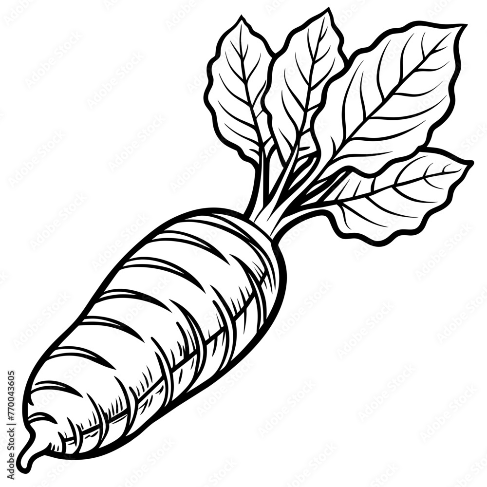 Vector Wasabi, coloring page for kids, horseradish Wasabi Stock Vector ...