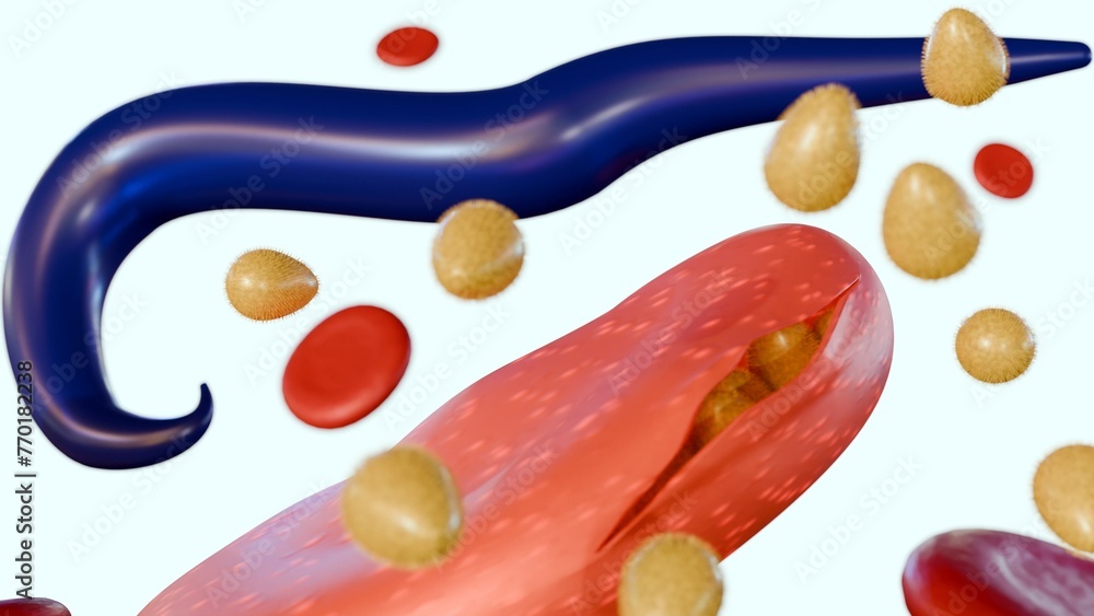 3d rendering of Plasmodium falciparum the merozoite invades, develops ...