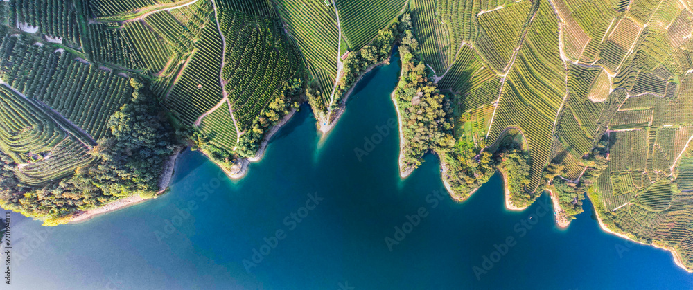 Apple Orchards growing around the Lago di Santa Giustina at the ...