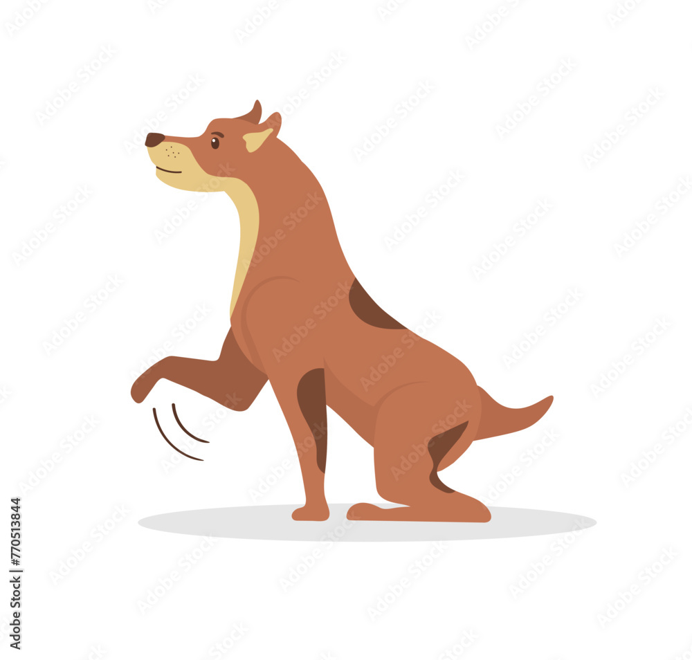 Dogs collection isolated on white background. Dogs tricks icons and ...