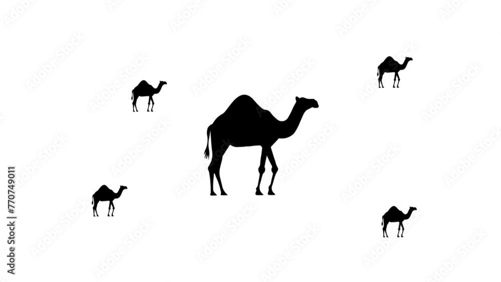 Zoom in and out animation the camel symbol. Large black symbol in the ...