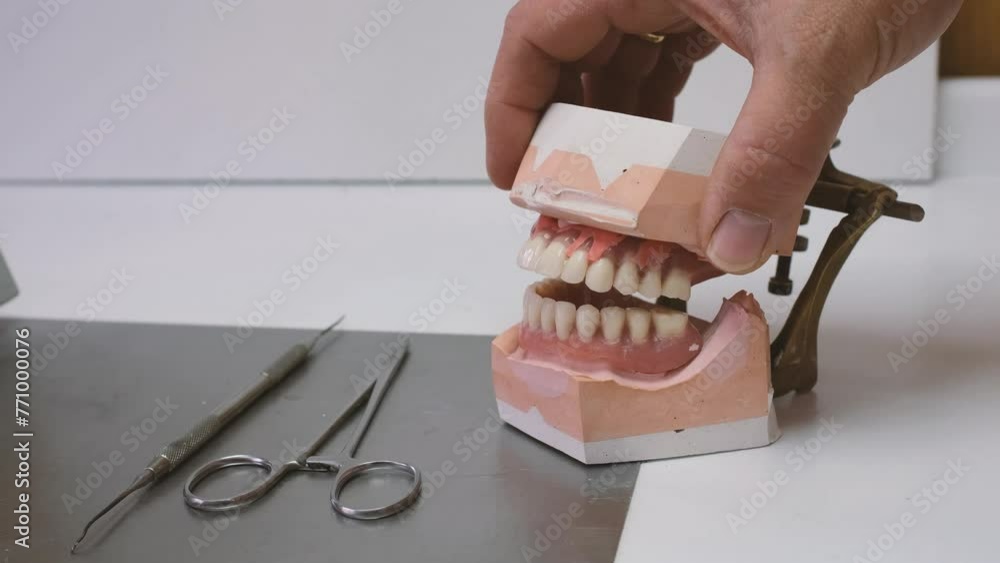 a dental technician demonstrates the opening, closing and biting ...