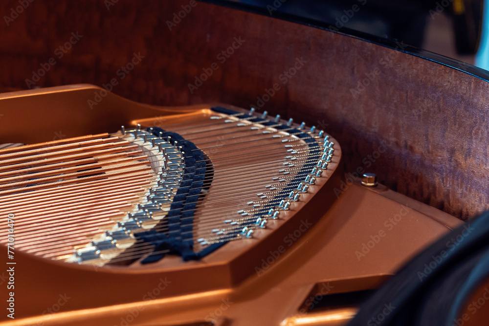 Parts of a grand piano, strings, keyboard, bridge, strut, sound board ...