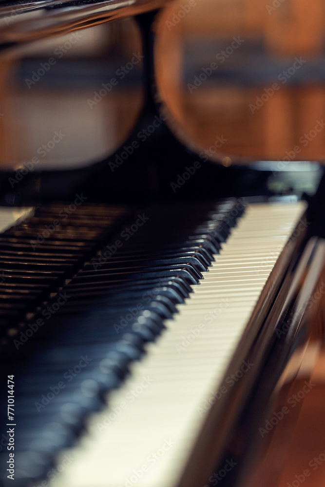 Parts of a grand piano, strings, keyboard, bridge, strut, sound board ...