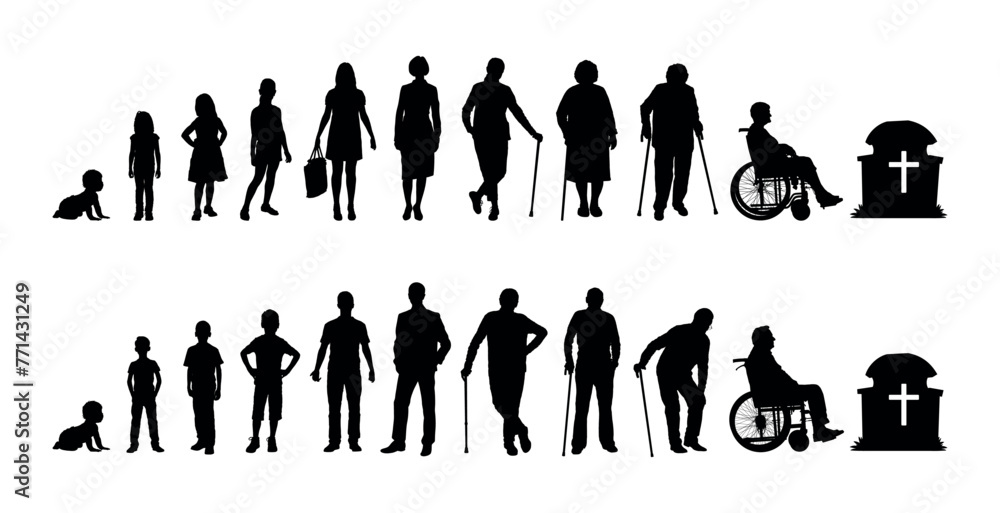 Human aging growing process stages infographic silhouettes. Man and ...
