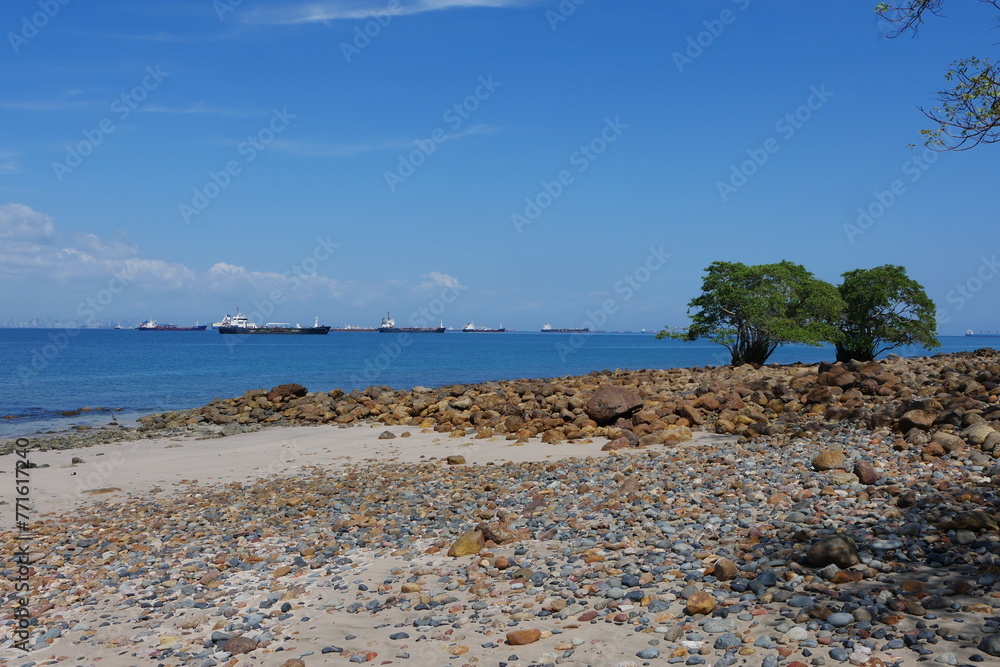Steinstrand auf der tropischen Insel Isla Taboga in Panama mit Mangrove ...