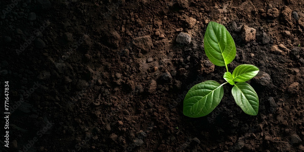 Foto de Soil science event celebrates researchers studying soil ...