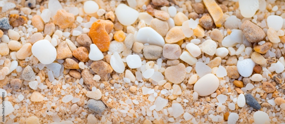 The sand contains various types of rocks such as bedrock, soil, and ...