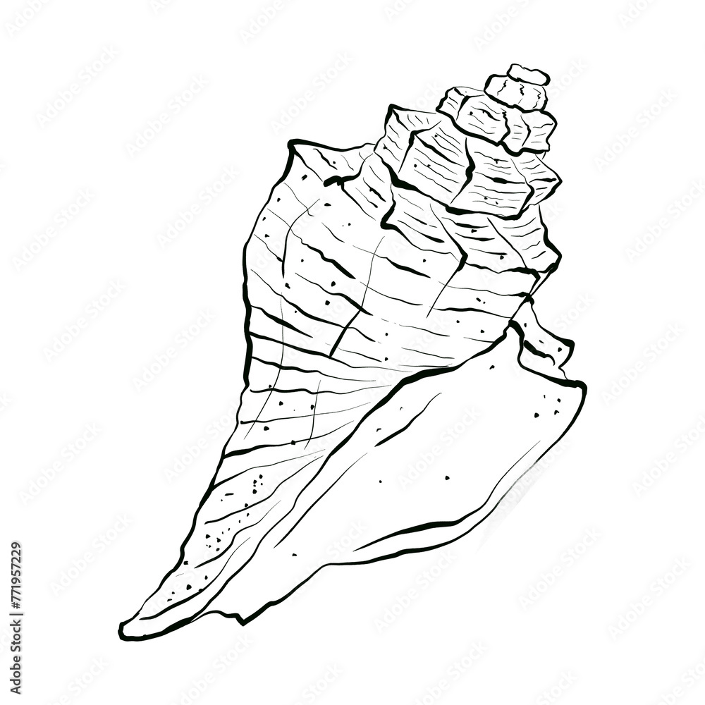 Underwater world with sea animals, spiral rapan shell. Hand drawn ...