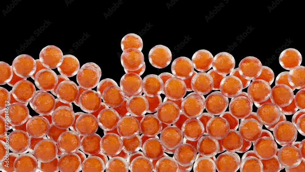 Fat cells, adipocyte and lipocyte, cholesterol in a cells, White fat ...