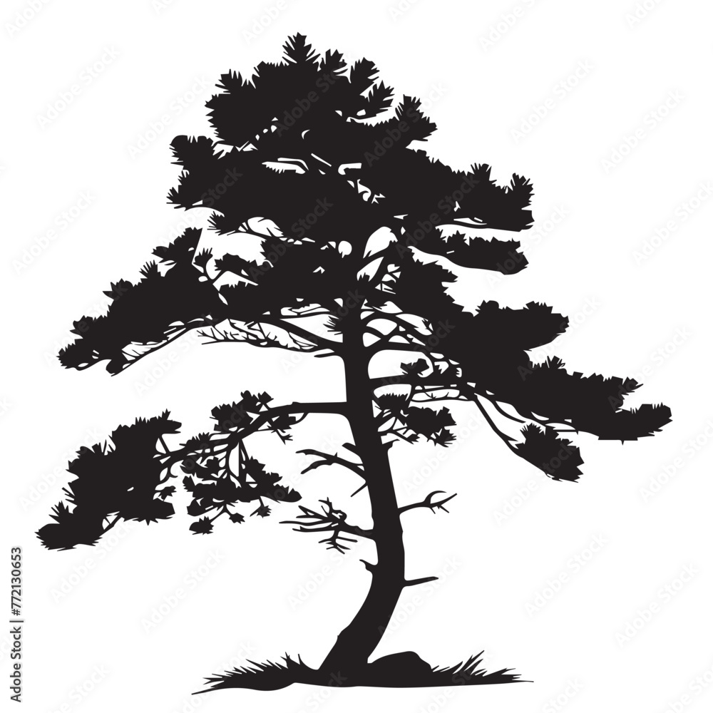 Juniper in cartoon, doodle style . Image for t-shirt, web, mobile apps ...