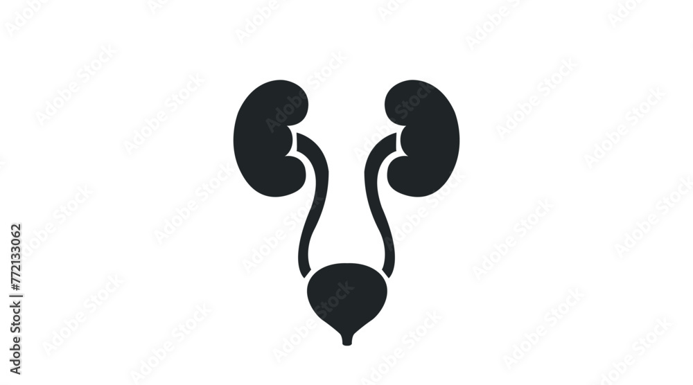 Urinary System. Vector black and white editable illustration of the ...