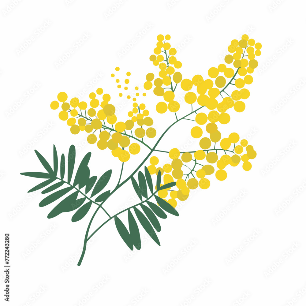 Mimosa in cartoon, doodle style. Image for t-shirt, web, mobile apps ...