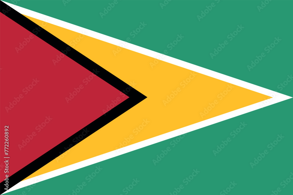 Flag of Guyana. Guyanese green flag with two triangles. State symbol of ...