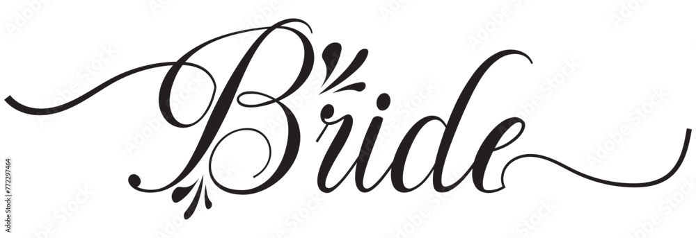 Bride word calligraphy fun design to print on tee, shirt, hoody, poster ...