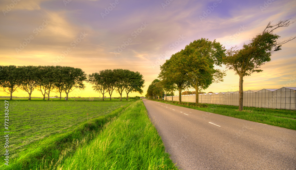 Dutch country road with trees alongside in rural Holland at sunset ...