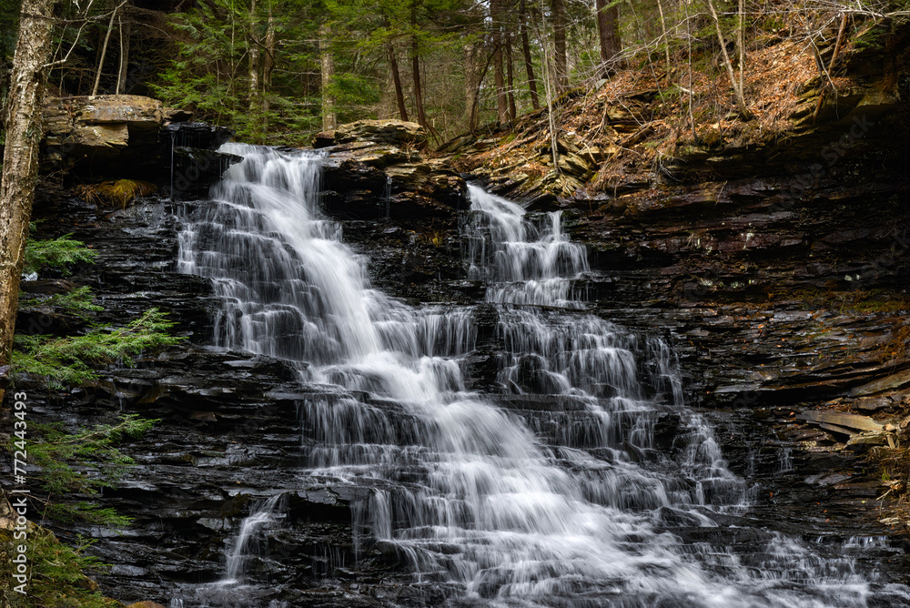 Spring at Ricketts Glen State Park in Benton PA. Known for its 21 ...