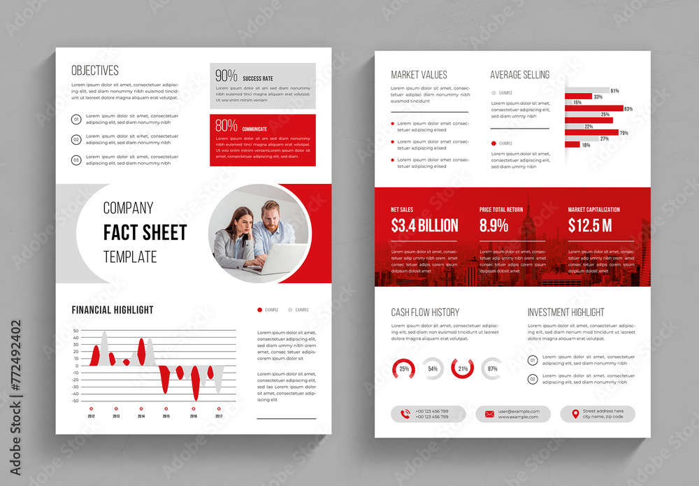 Company Fact Sheet Layout Stock Template | Adobe Stock