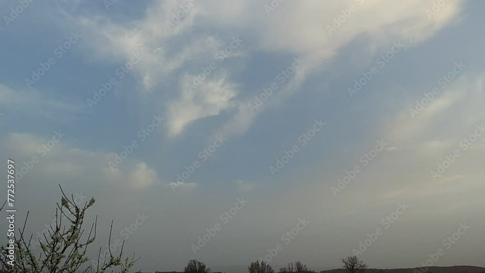 Vidéo Stock Branches of blossoming plum tree, sky with dust and sand ...