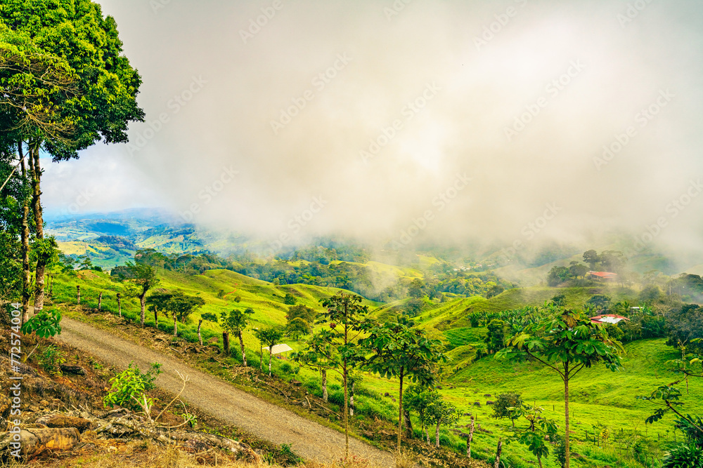 A dirt road winds through the vibrant green slopes of Uvita in ...
