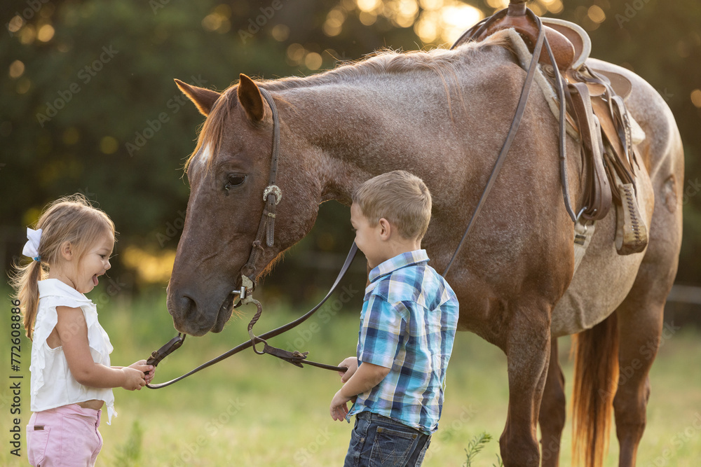 Child Brother and Sister equestrian cowboy and cowgirl bonding with a ...