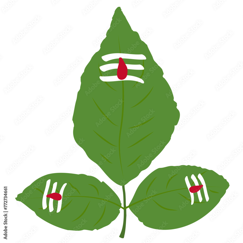 Shankara, Puja Leaf, Bael leaves, bael patra, shanidev leaves, har har ...