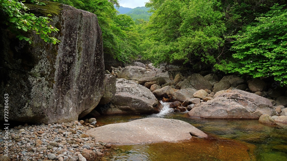 Scenery of the clean valley of Jiri Mountain in Korea Stock Photo ...