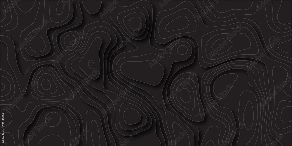Black and white abstract background Abstracts Topographic map and white ...