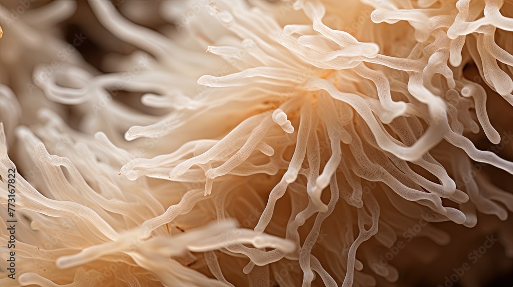 Microscopic view of fungi mycelium. Texture, Background ,Wallpaper ...