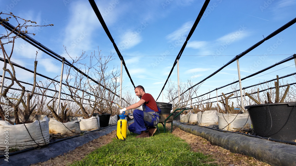 Farmer using pesticide, insecticide and herbicide sprayer sprinkler in ...