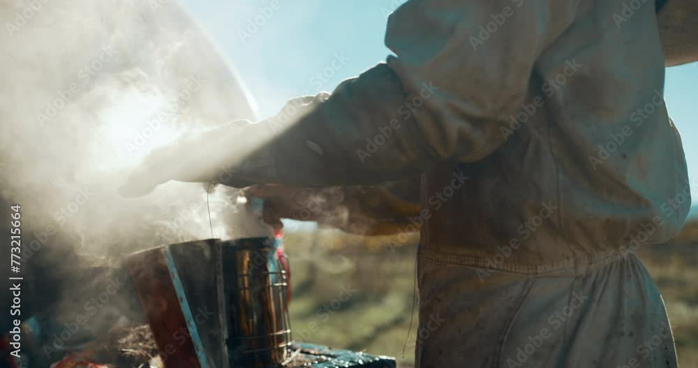 Beekeeper person, smoker and outdoor at farm for honey production ...