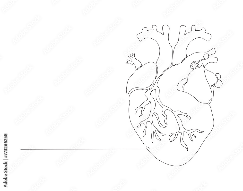 Continuous one line drawing of human heart organ. One line of ...