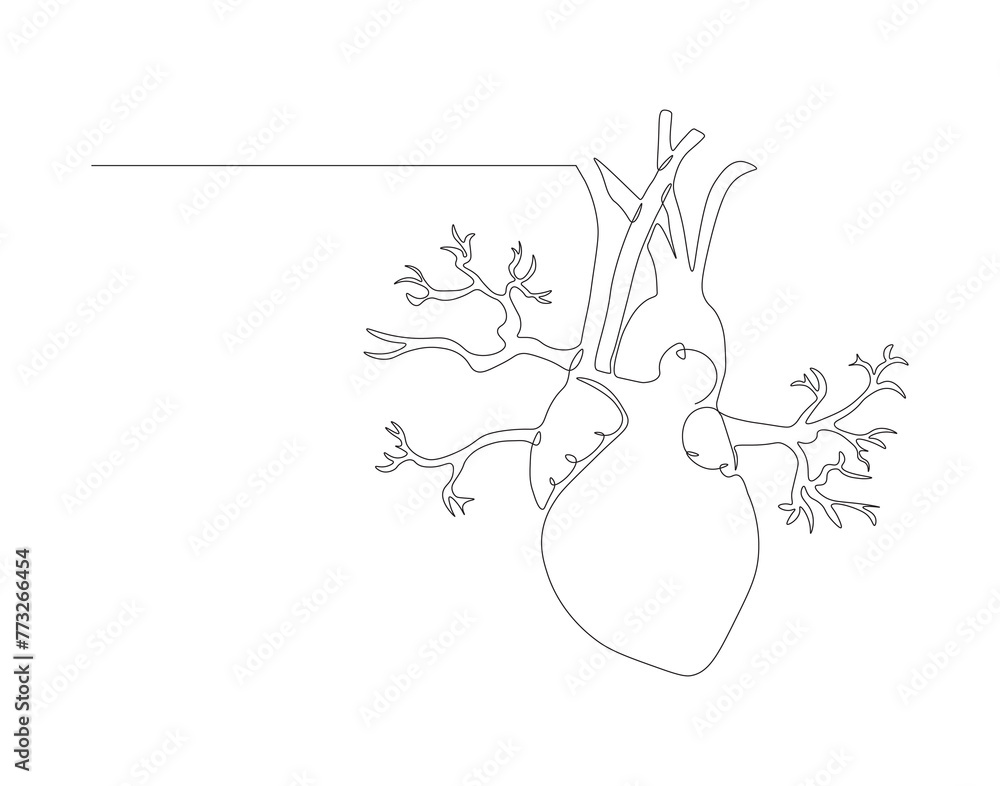 Vektorová grafika „Continuous one line drawing of human heart organ ...