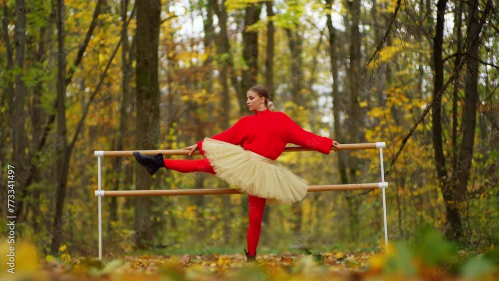 Holding on to the ballet barre, the woman effectively lifts her leg up ...
