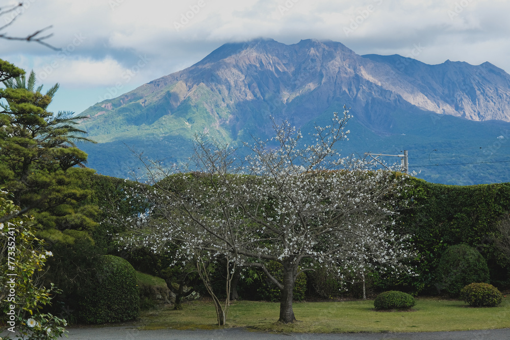 Sengan-en Japanese garden with former Shimazu clan residence in ...