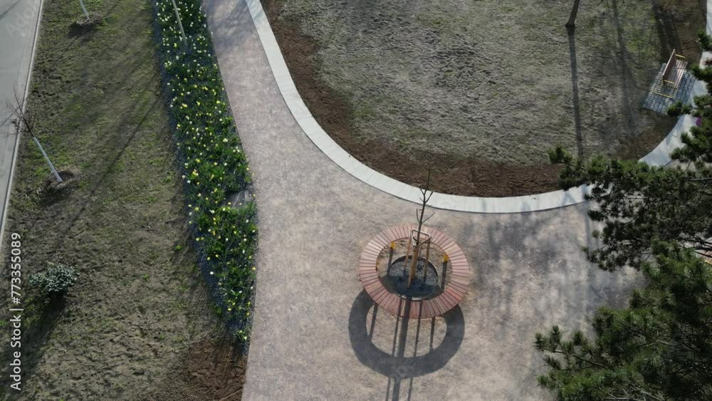 a circle-shaped wood bench with a tree growing in the middle. swings ...