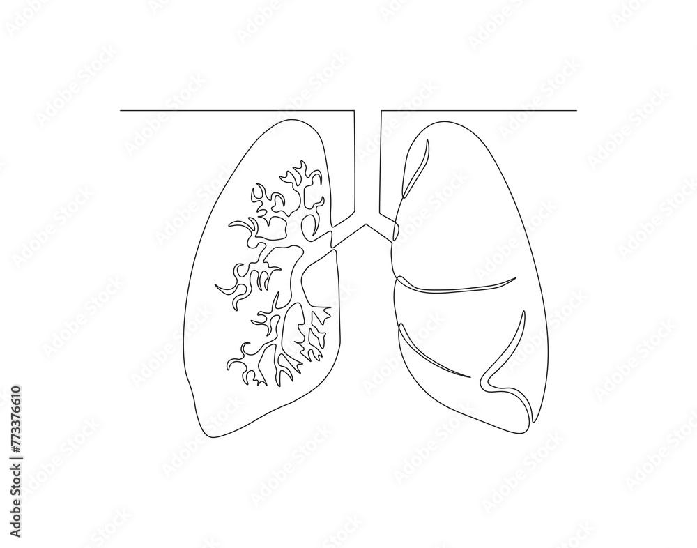 Continuous one line drawing of human lungs. One line of anatomical ...