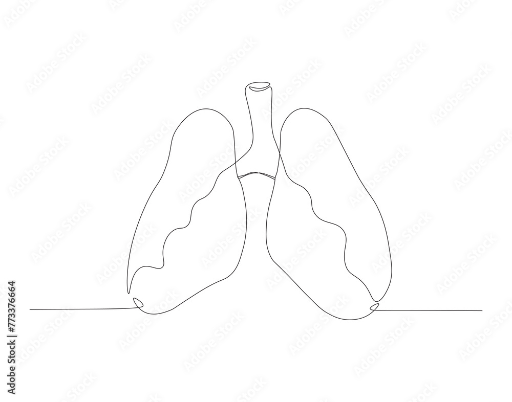 Continuous one line drawing of human lungs. One line of anatomical ...