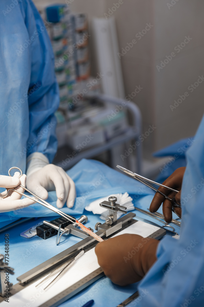 surgeons work on the cut part of the knee joint (muscular ligament ...