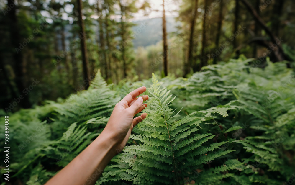 Hand in Nature's Grasp: A hand tenderly holds a leaf amidst lush ...