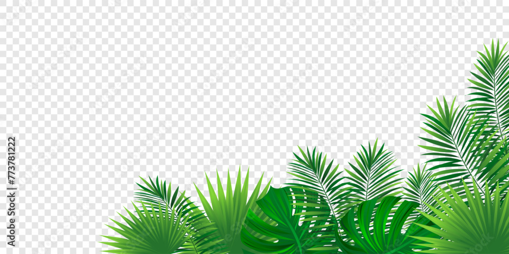 Green amazon border frame with exotic jungle plants, areca palm leaves ...