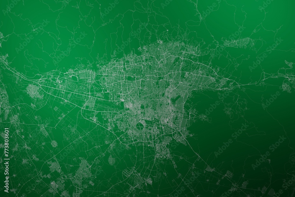 Map of the streets of Tehran (Iran) made with white lines on abstract ...