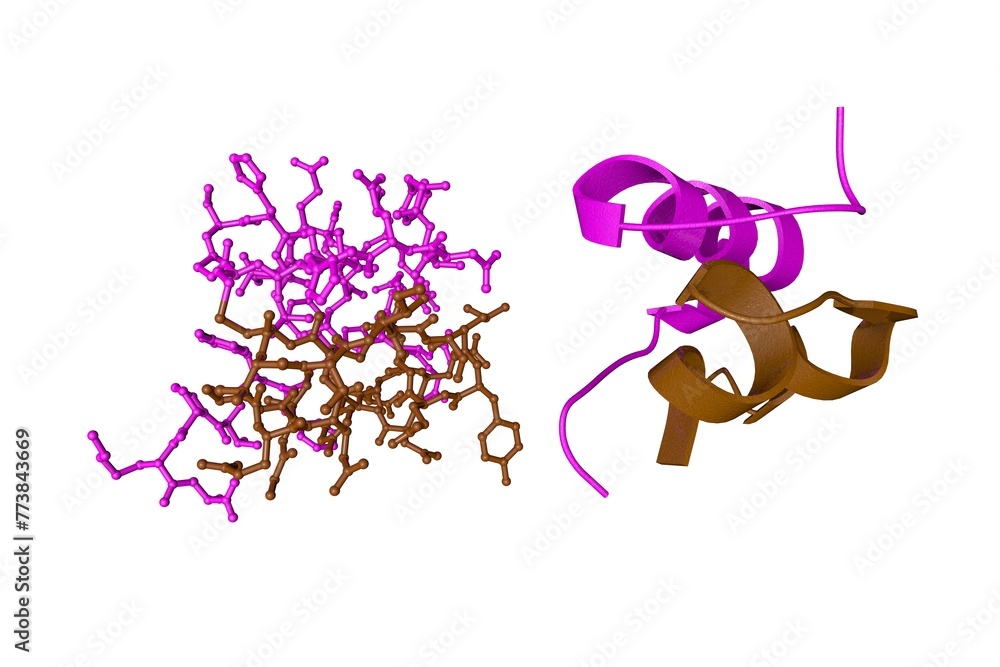 Human insulin. Crystal structure and molecular model. Rendering with ...